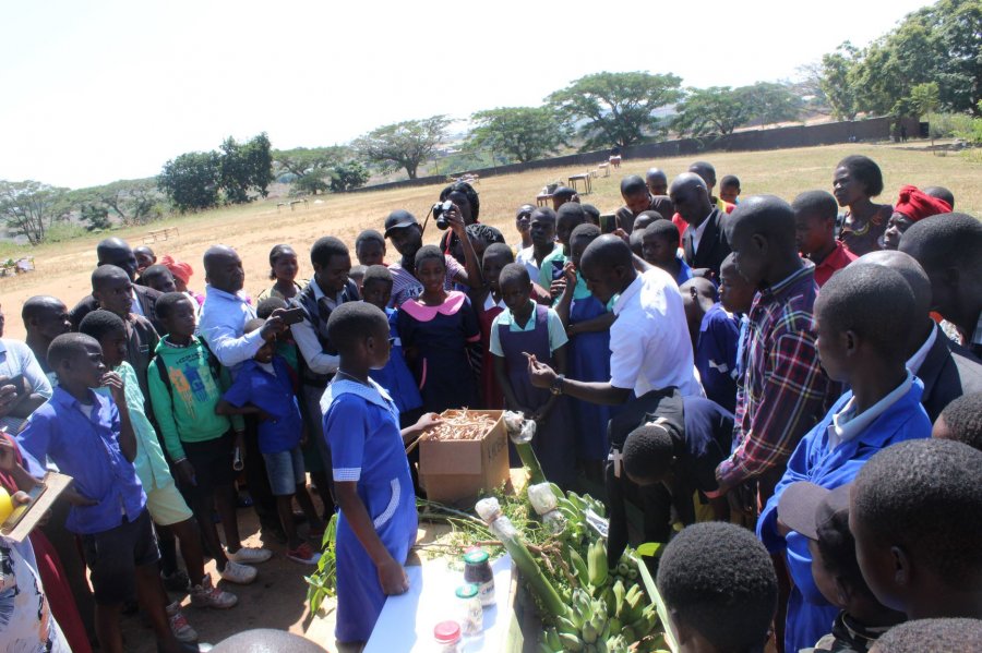 Seeding Schools - Gallery - SCOPE Malawi