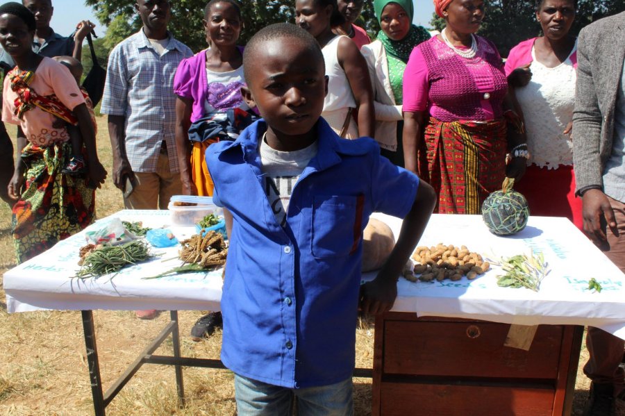 Seeding Schools - Gallery - SCOPE Malawi
