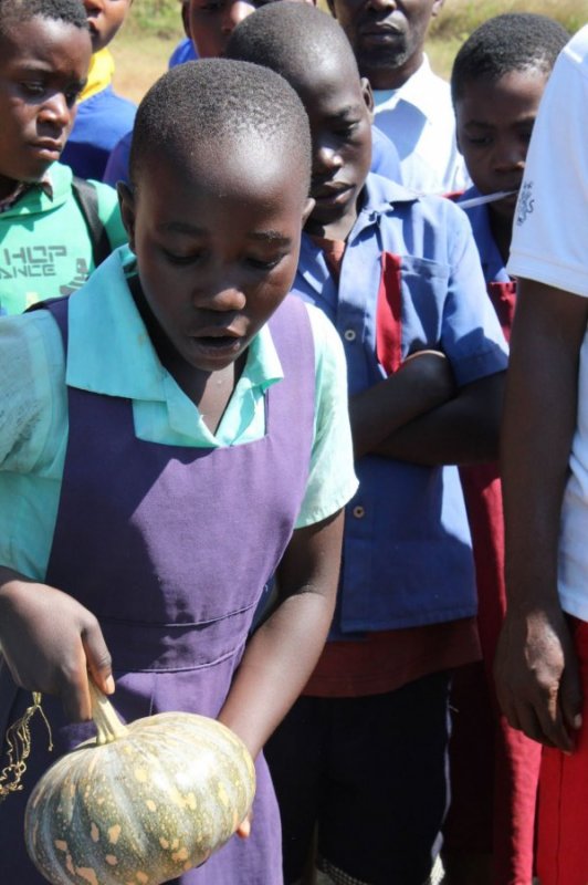 Seeding Schools - Gallery - SCOPE Malawi