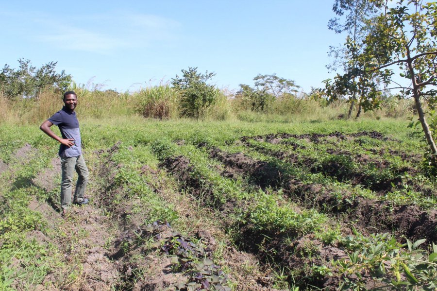 Seeding Schools - Gallery - SCOPE Malawi